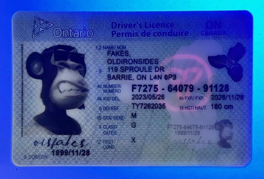 CAN Ontario(CAN ON 2022 PolyCard) – Best & Fast ID Services | OIS